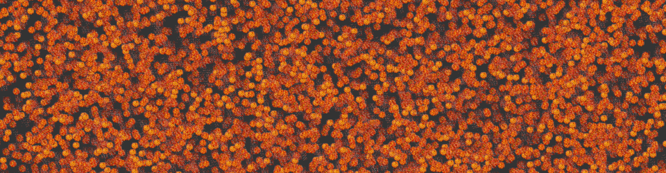 Sparrow Webgl Devlog 3 2d Particles Pingpolide